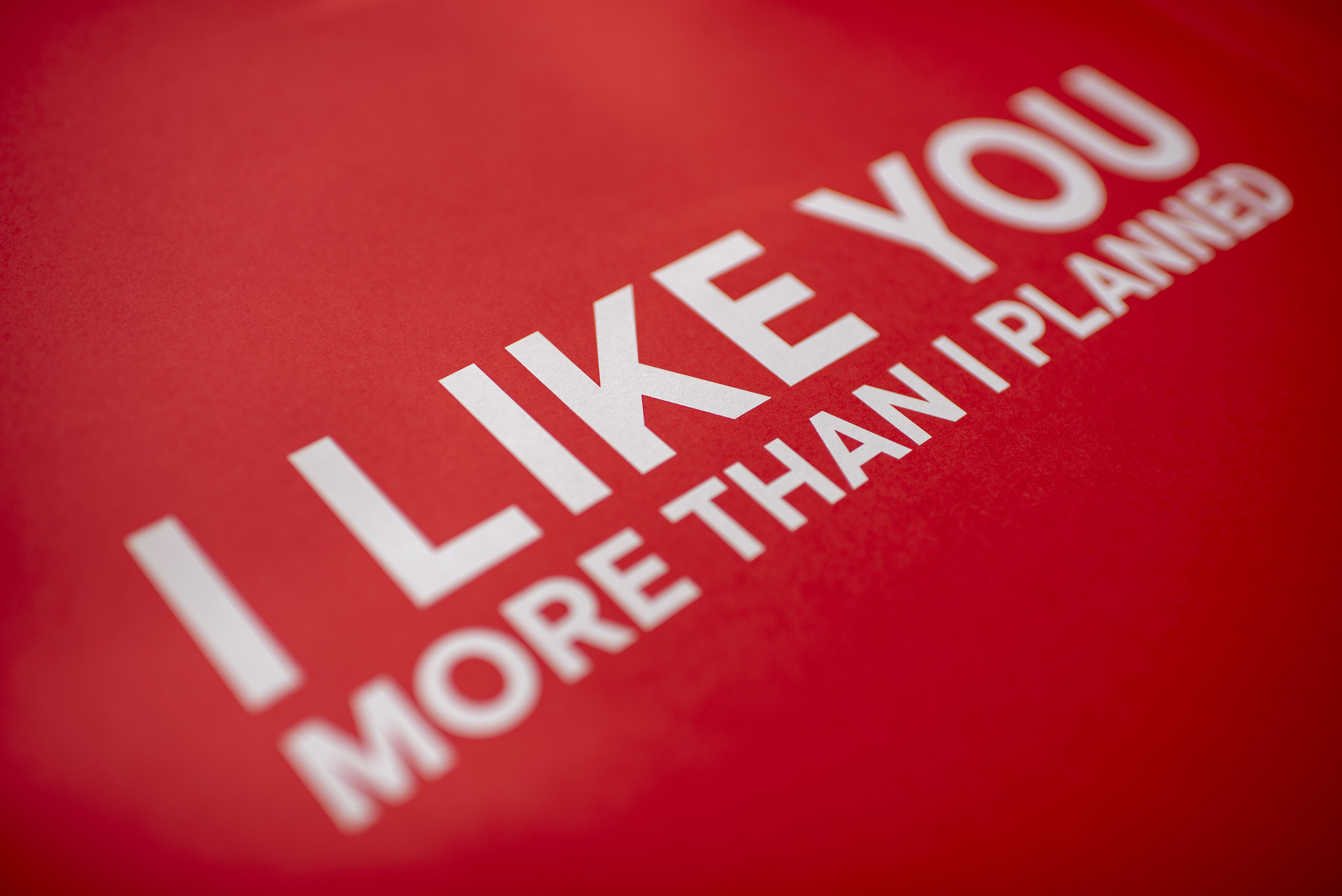 The Unlikely Painter | Shop | I Like You More Than I Planned